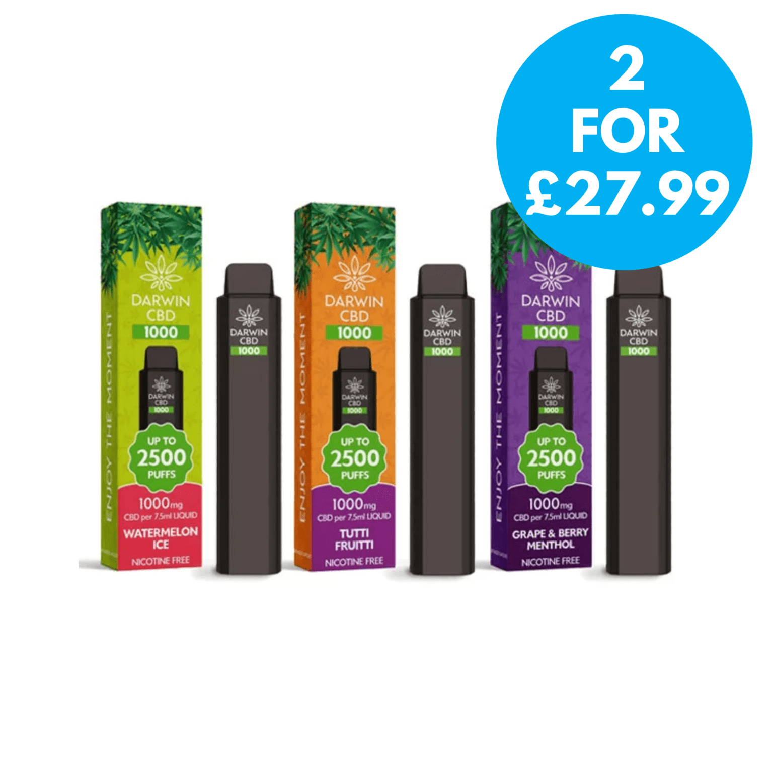 CBD Disposable Vapes - Free Next Day Delivery - VAPE.CO.UK